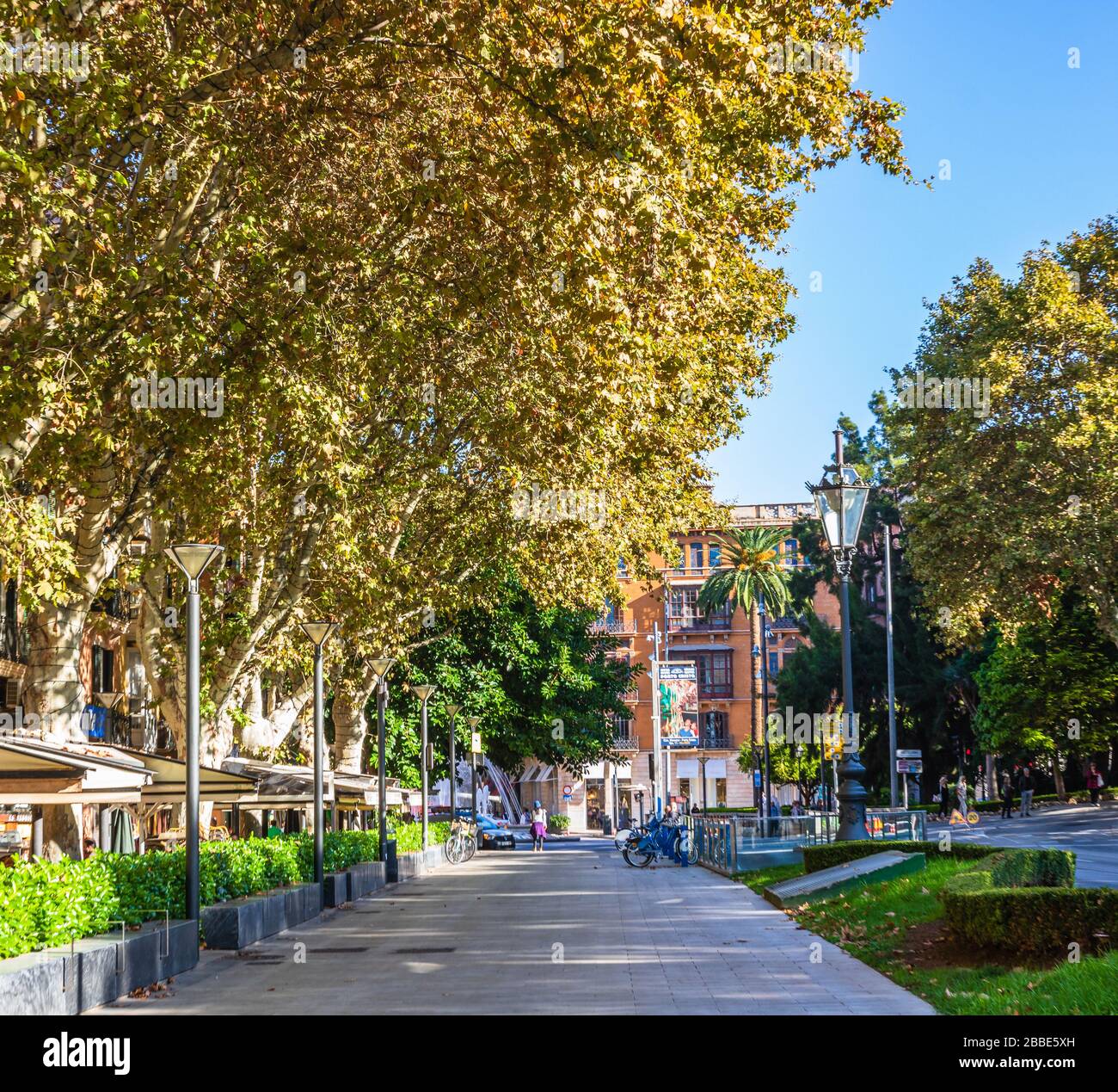 City break palma people hi-res stock photography and images - Alamy