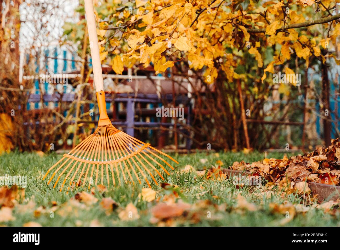 Spring yard cleanup hi-res stock photography and images - Alamy