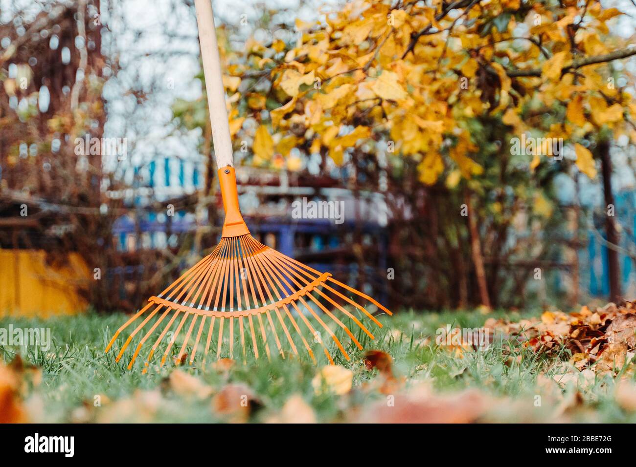 Raking leaves autumn hi-res stock photography and images - Alamy