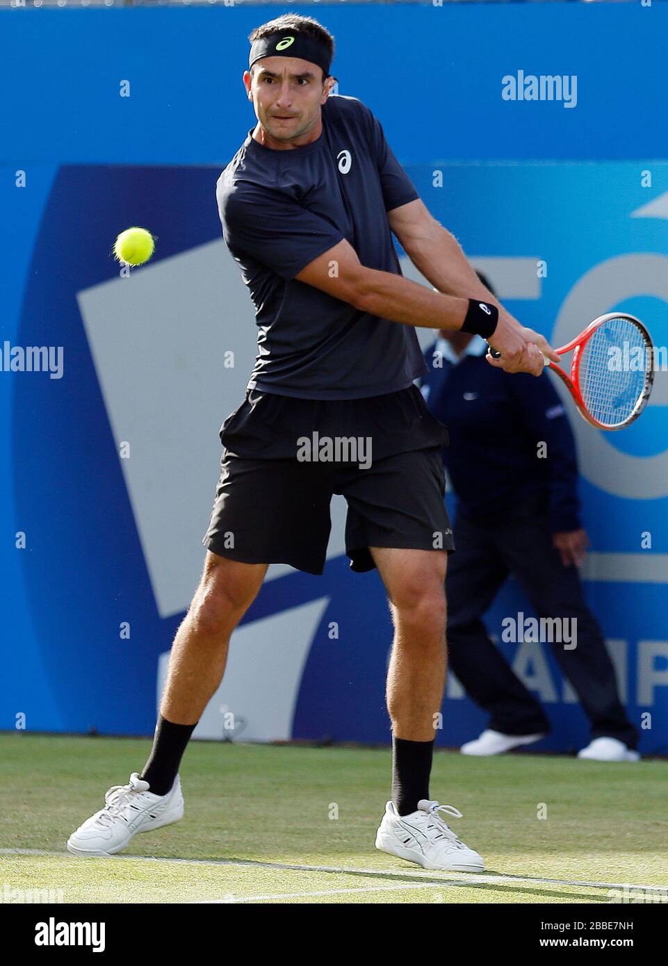 Matosevic High Resolution Stock Photography and Images - Alamy