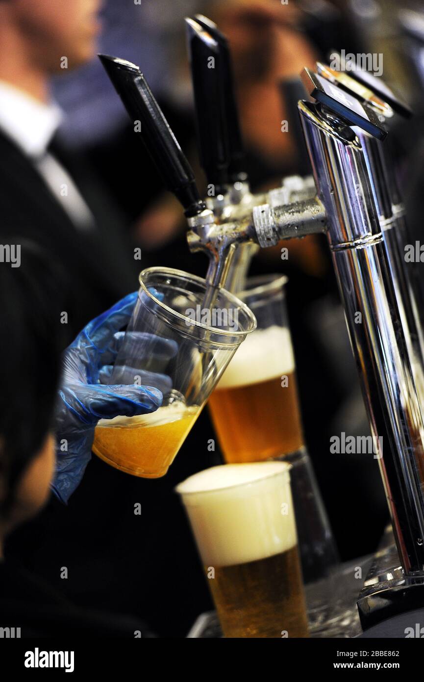 Lager beer pints detail pint ampics hi-res stock photography and images ...