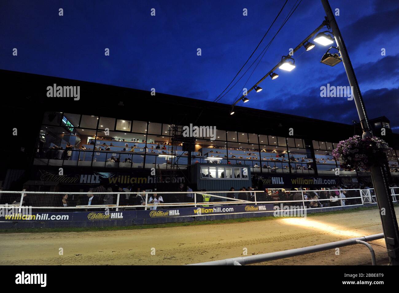 Dogs dark sky lights floodlit ampics hi-res stock photography and ...