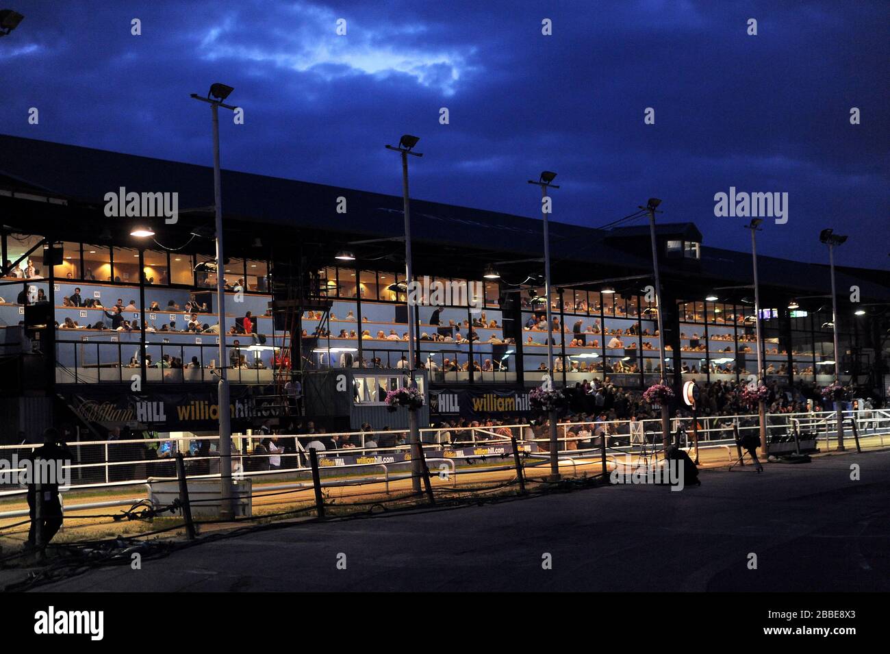 Dogs dark sky lights floodlit ampics hi-res stock photography and ...