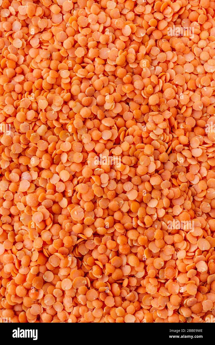 Vegan lentil curry red lentils hi-res stock photography and images - Alamy