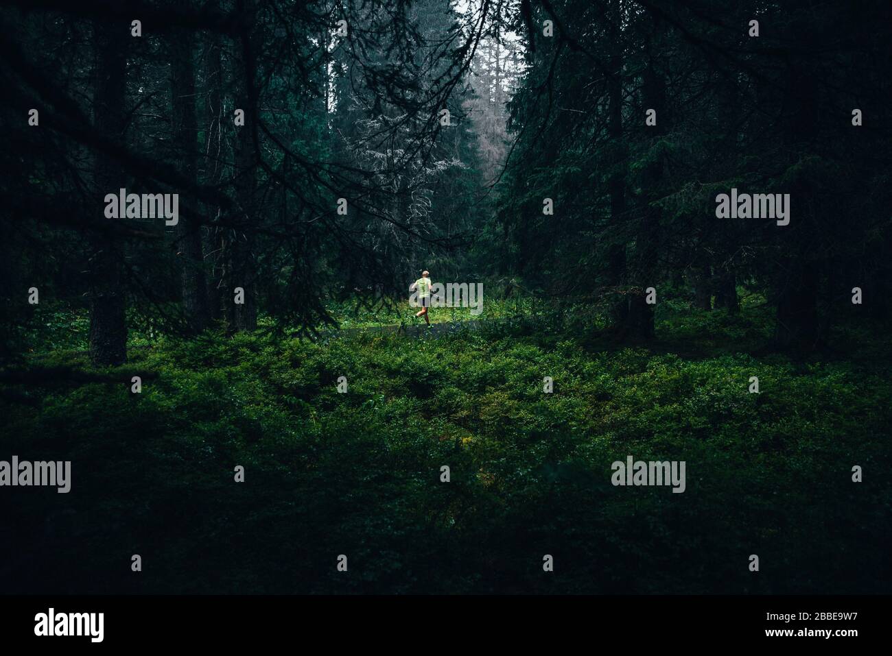 Runner in green forest running in rain. Sport in nature. Trail running ...