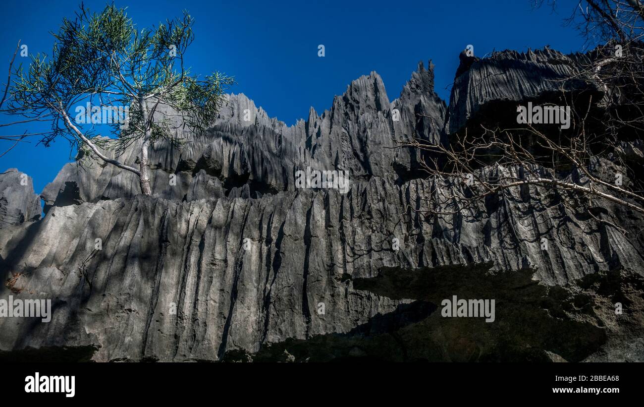 Tsingy Bemaraha National Park, Grand Tsingy, Madagascar Stock Photo - Alamy