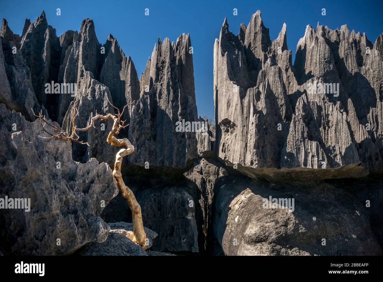 Tsingy Bemaraha National Park, Grand Tsingy, Madagascar Stock Photo - Alamy