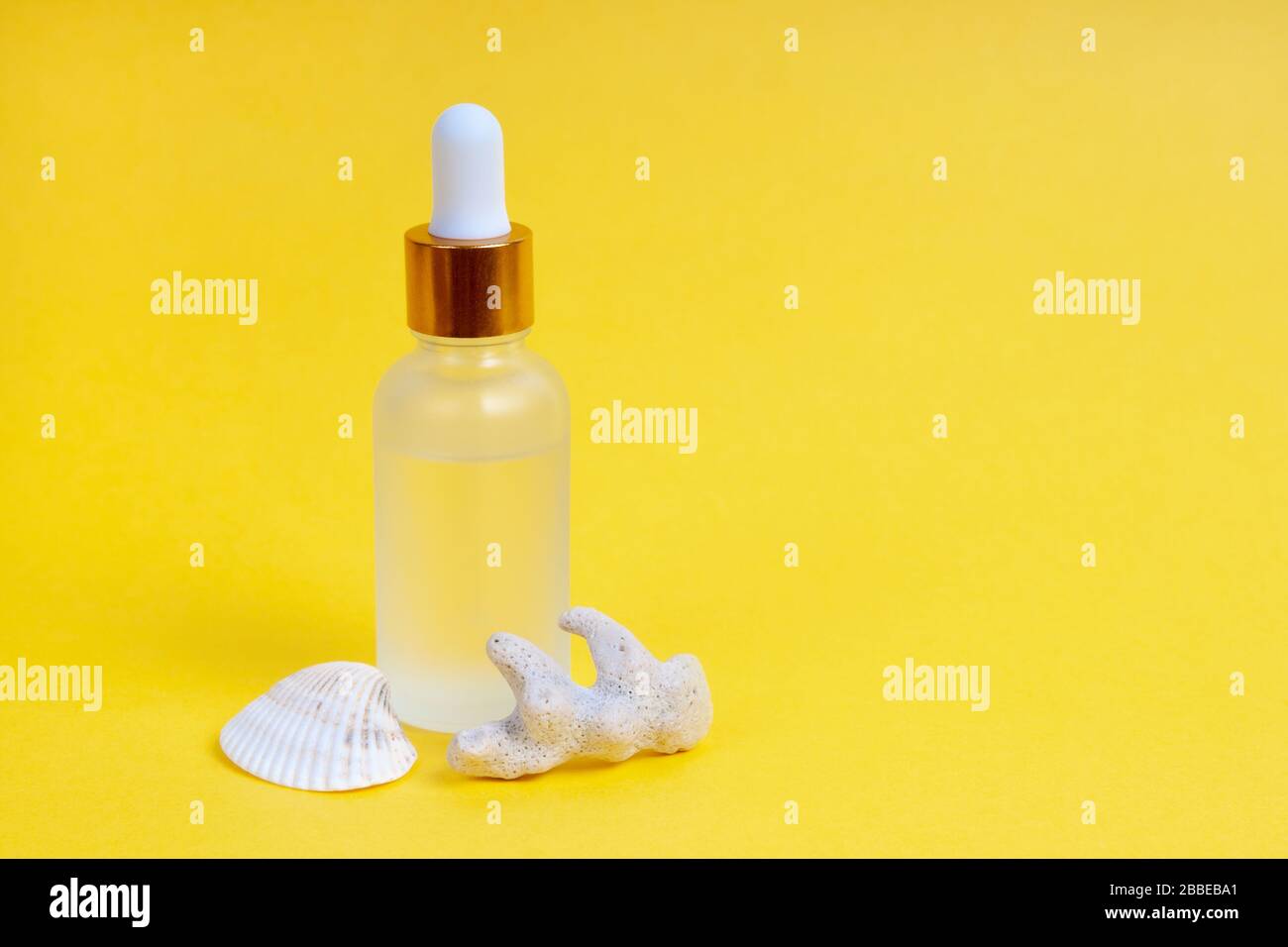Shell skin care products hi-res stock photography and images - Alamy