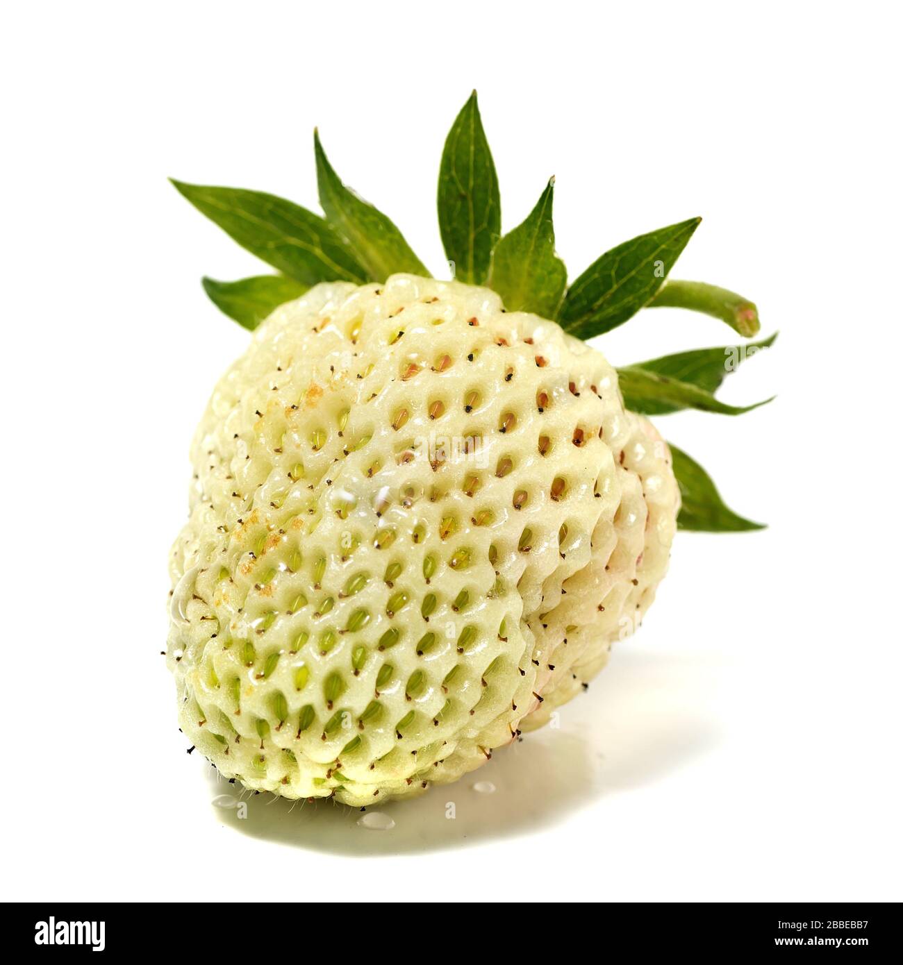 Unripe strawberry with green leaf isolated on white background Stock ...