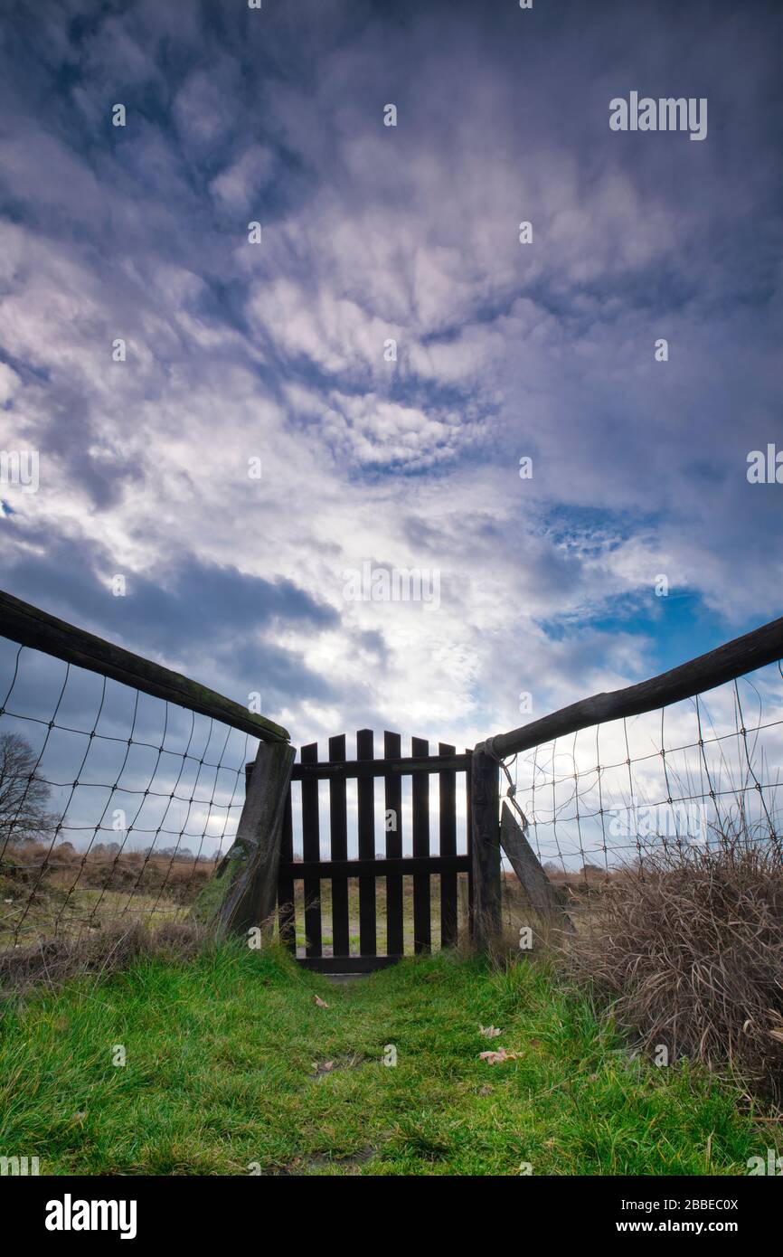 wide angle lens shot, a gate with left and right mesh. with impressive ...