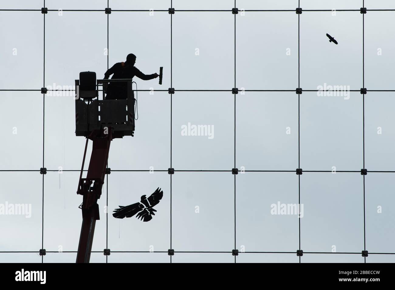 Dresden, Germany. 31st Mar, 2020. A building cleaner can be seen as a ...