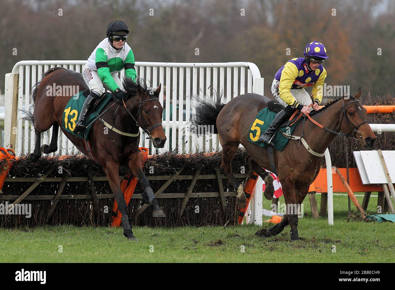 Stable staff at racecourse hi-res stock photography and images - Alamy