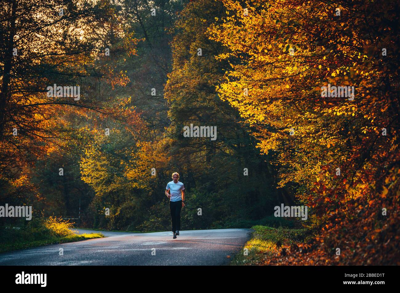 Colorful forest, athlete run on the road in autumn landscape. Sport ...