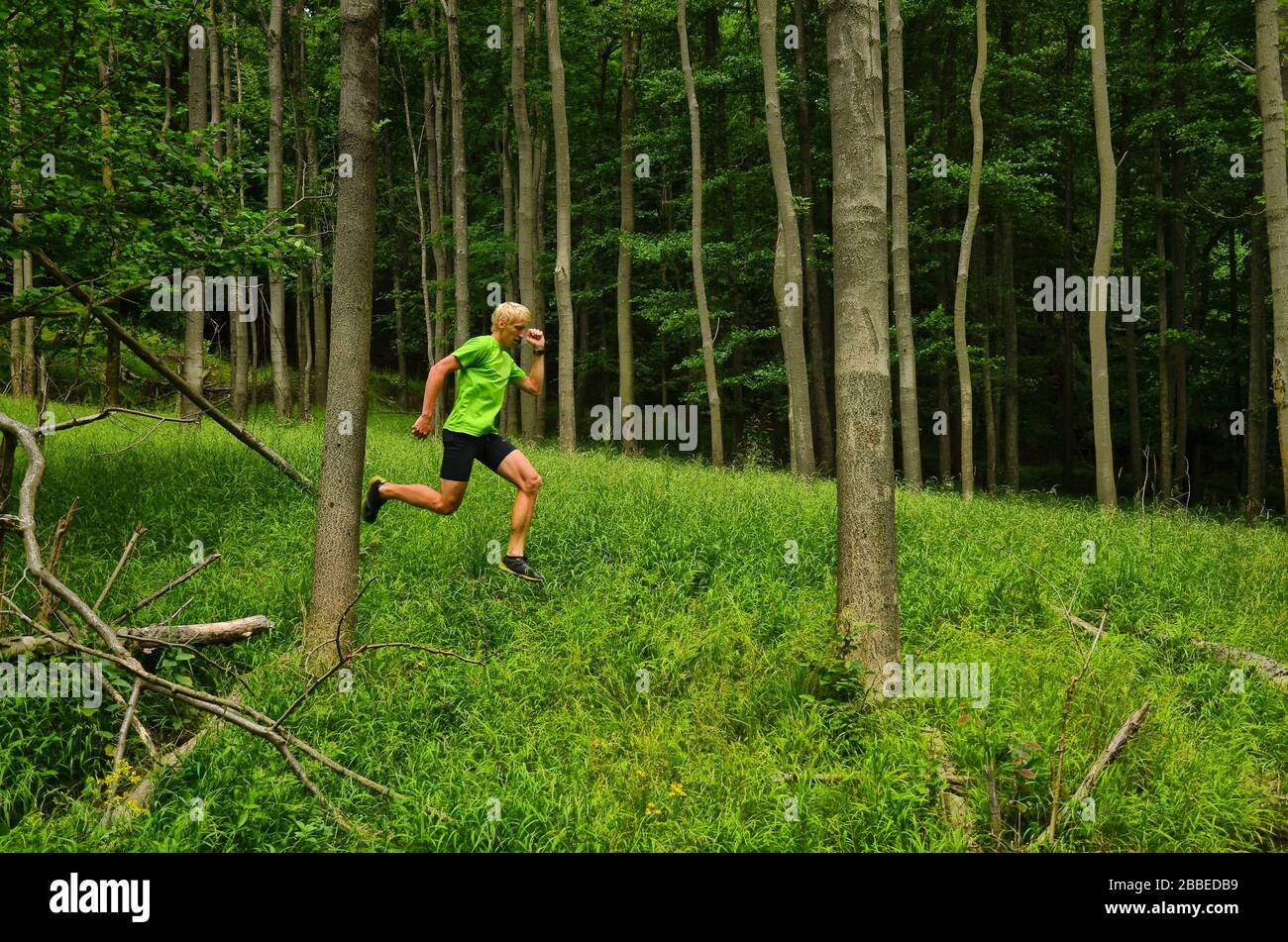 Running in green nature. Trail run in green rainy forest Stock Photo ...
