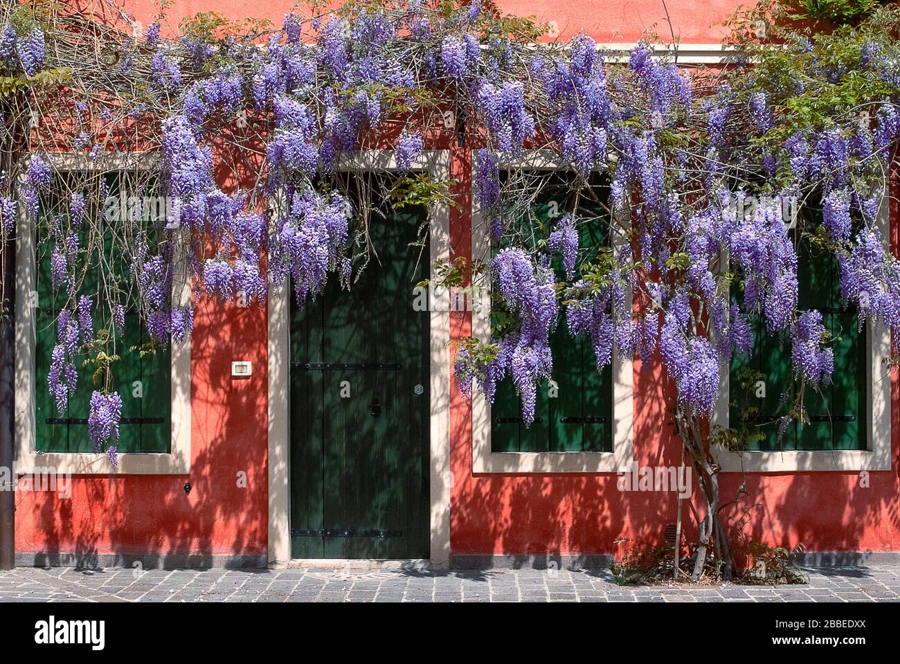 Red house with wisteria flowers Stock Photo - Alamy