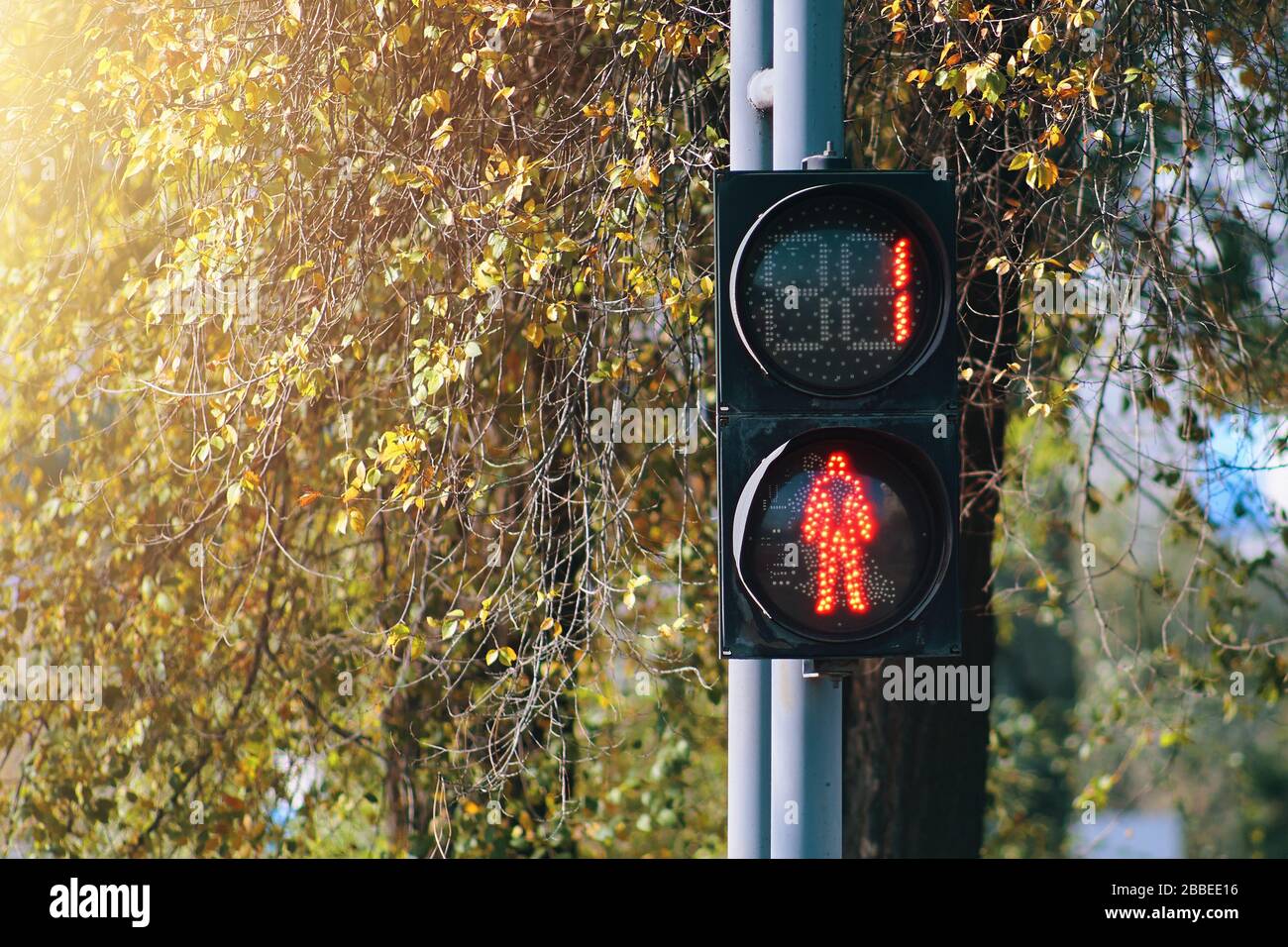 Pedestrian traffic light. The red signal prohibits crossing the road ...