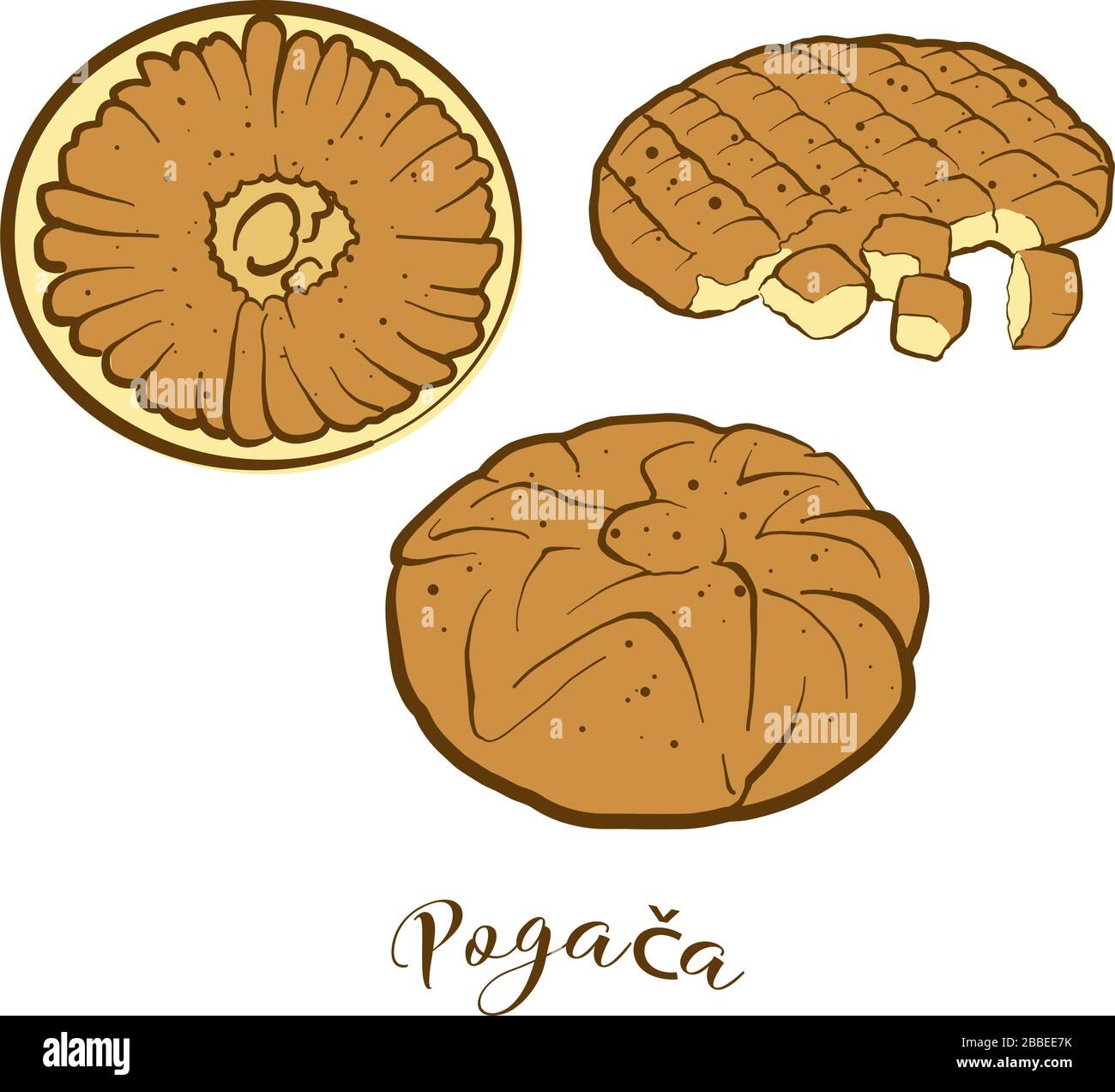 Colored drawing of Pogača bread. Vector illustration of Flatbread food ...