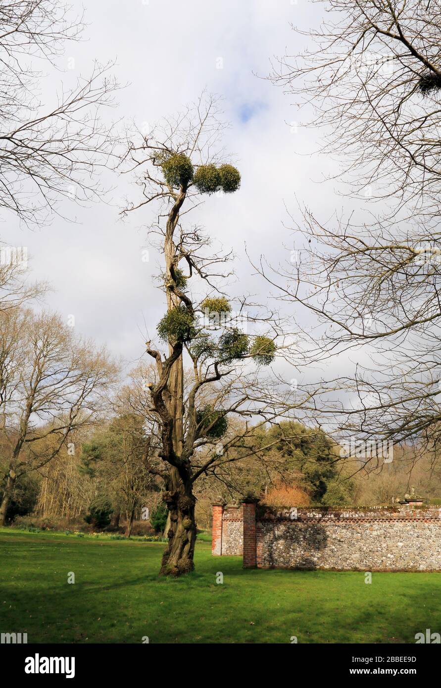 Newnham kent hi-res stock photography and images - Alamy