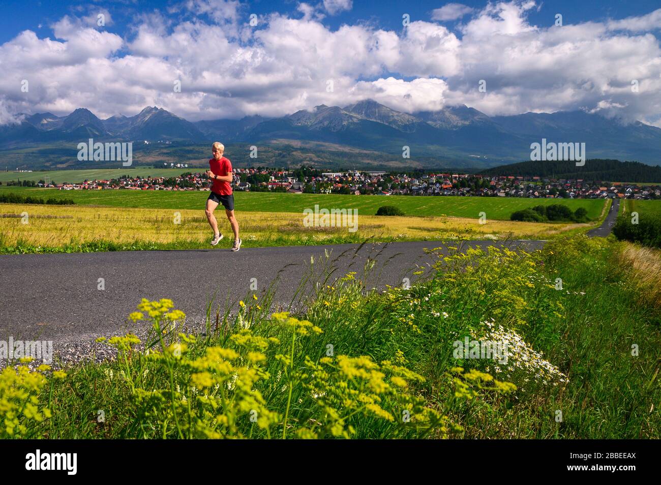 Summer running training. Long distance runner train in summer landscape ...