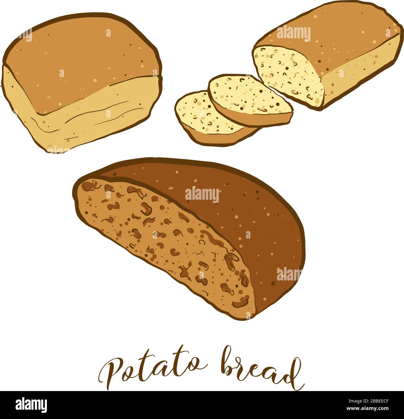 Colored drawing of Potato bread bread. Vector illustration of Leavened ...