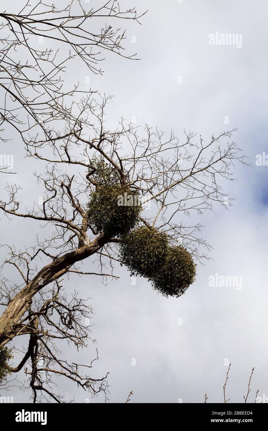 Newnham kent hi-res stock photography and images - Alamy