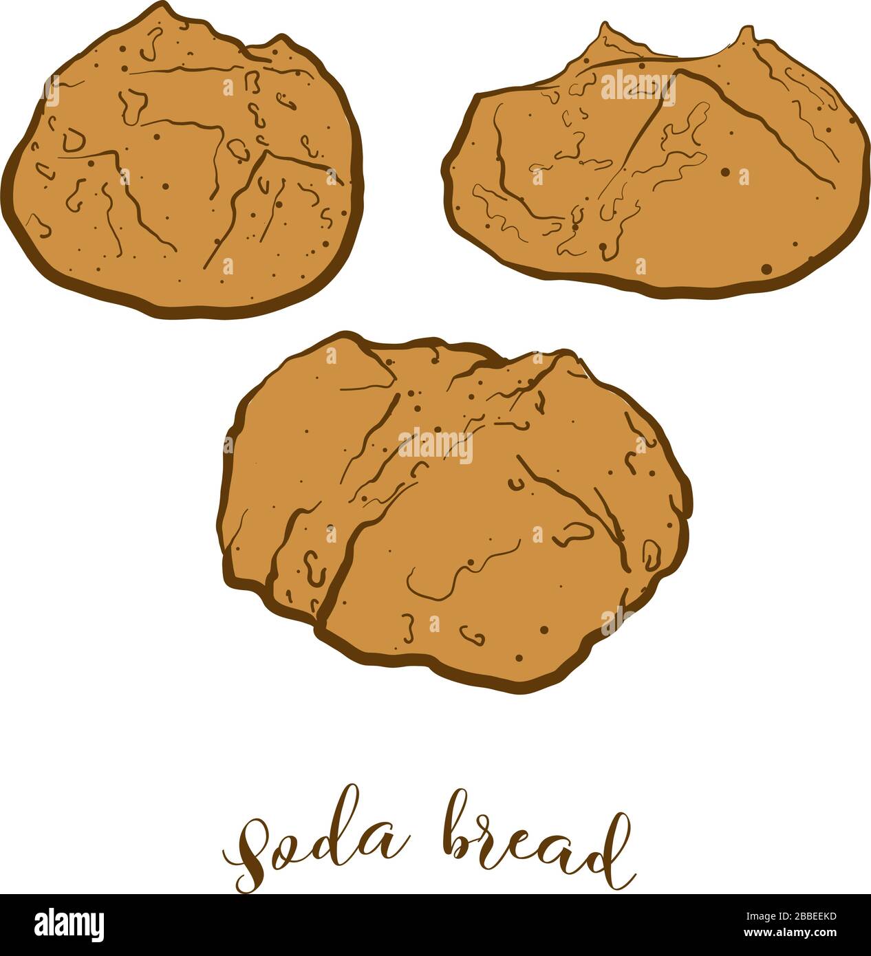 Colored drawing of Soda bread bread. Vector illustration of Soda bread ...