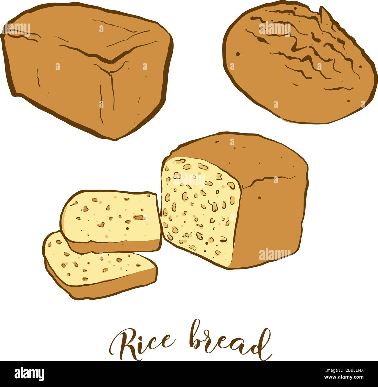 Colored drawing of Rice bread bread. Vector illustration of Rice bread ...
