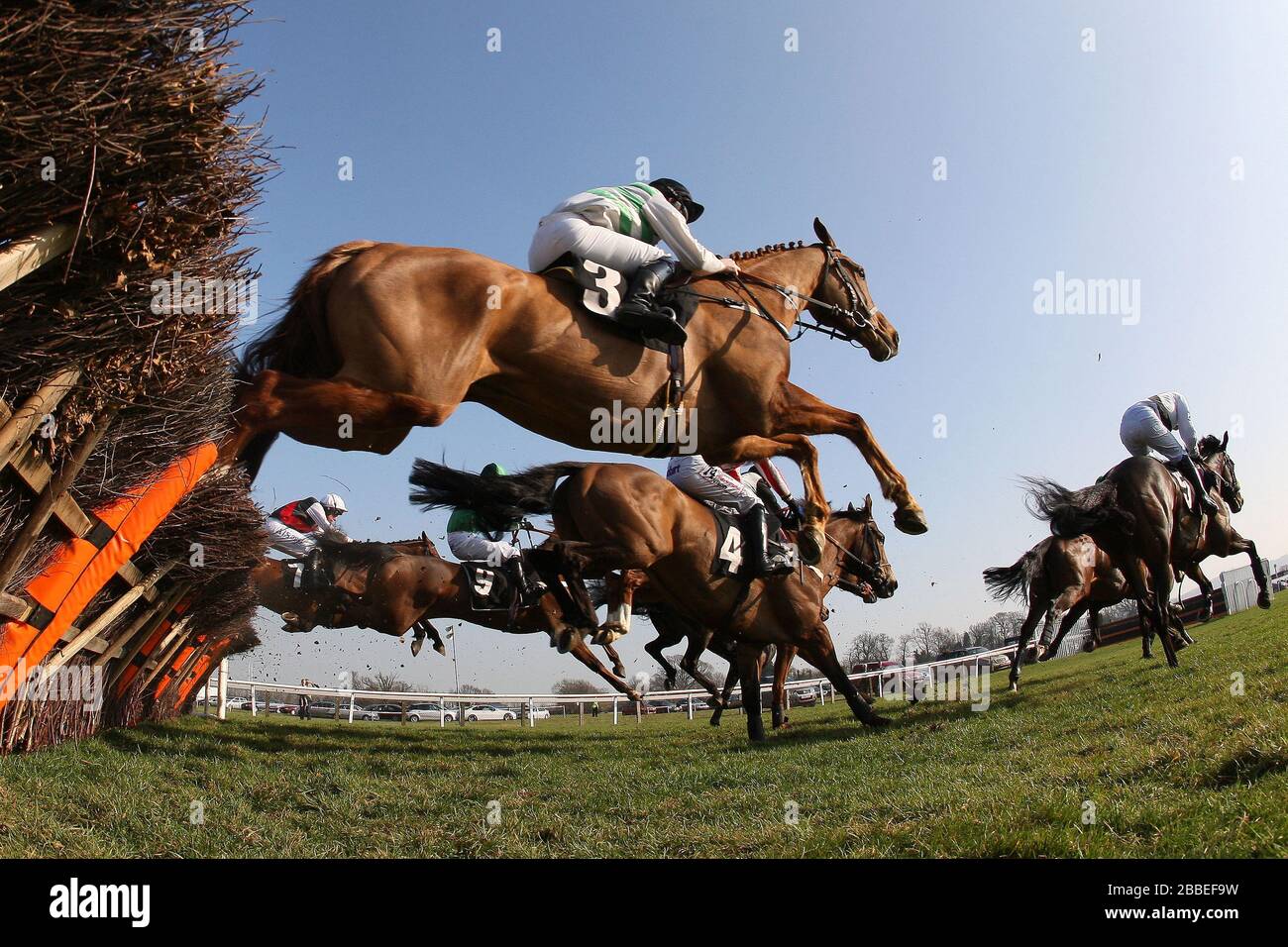 The field in jumping action during the Call Star Sports On 08000 521321 ...