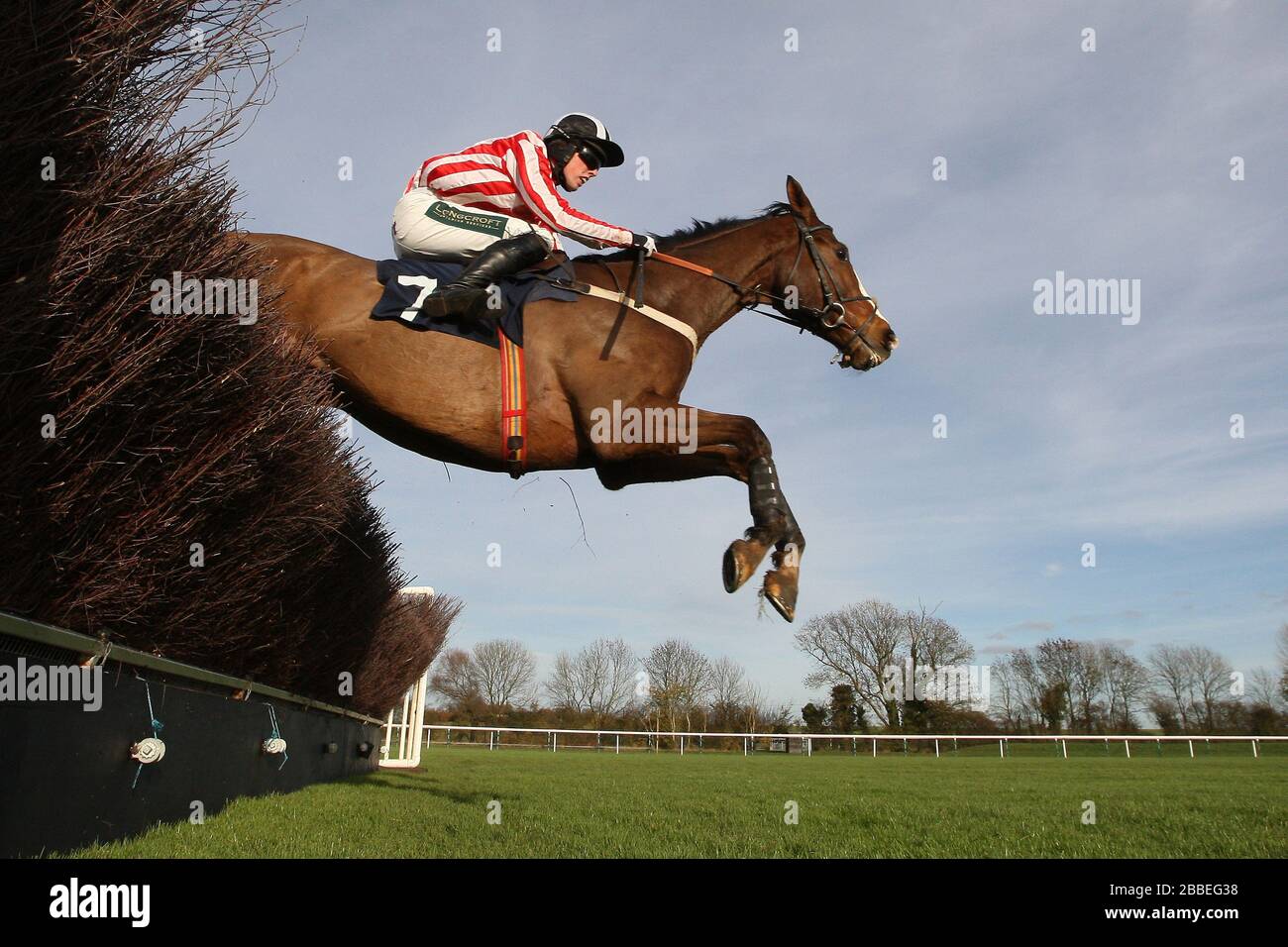Rif ridden by Killian Moore in jumping action during the TurfTV Novices ...