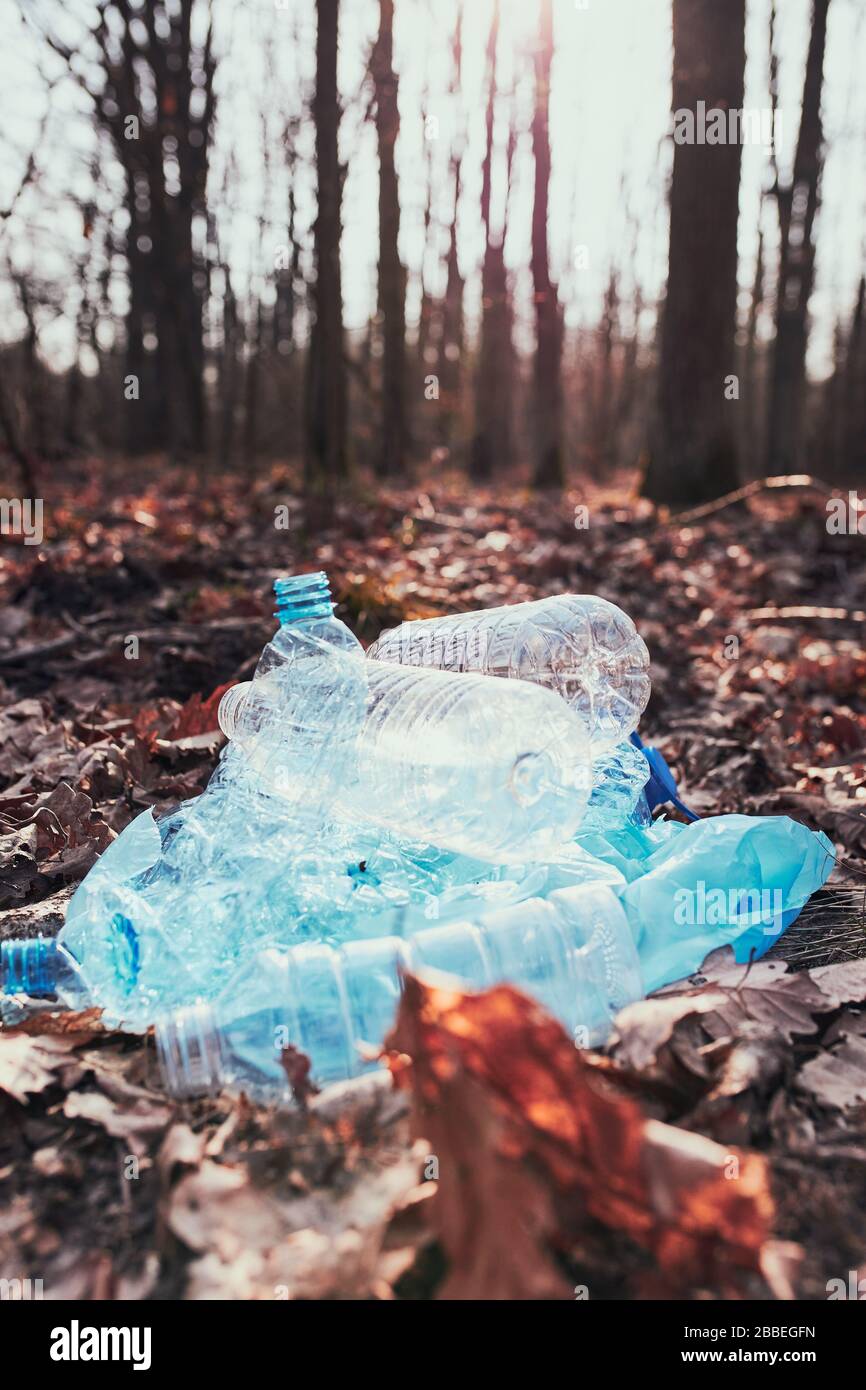 Plastic waste left in forest. Concept of plastic pollution and ...