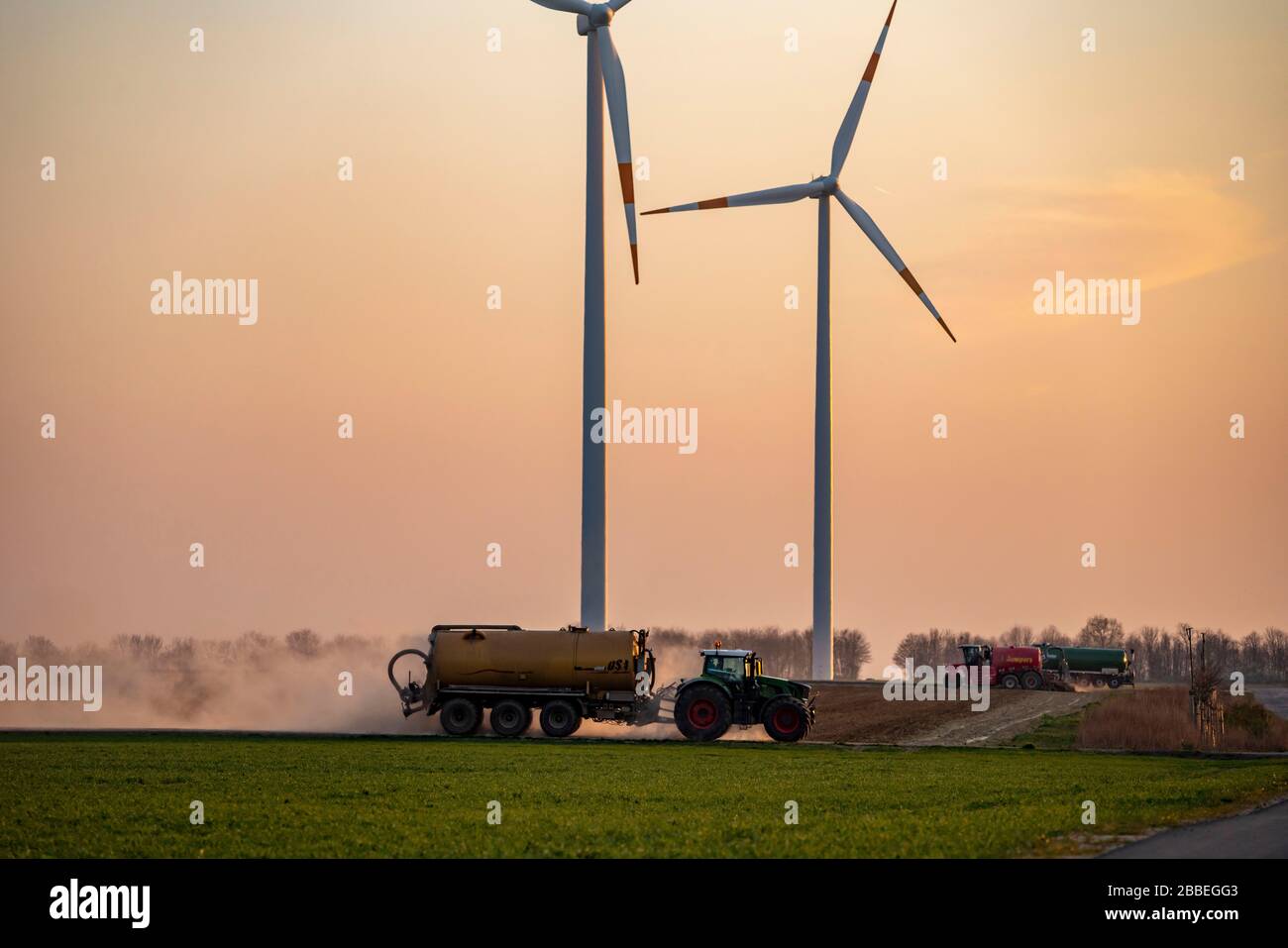 Tractor working a field in spring, transfer of fermentation residue ...