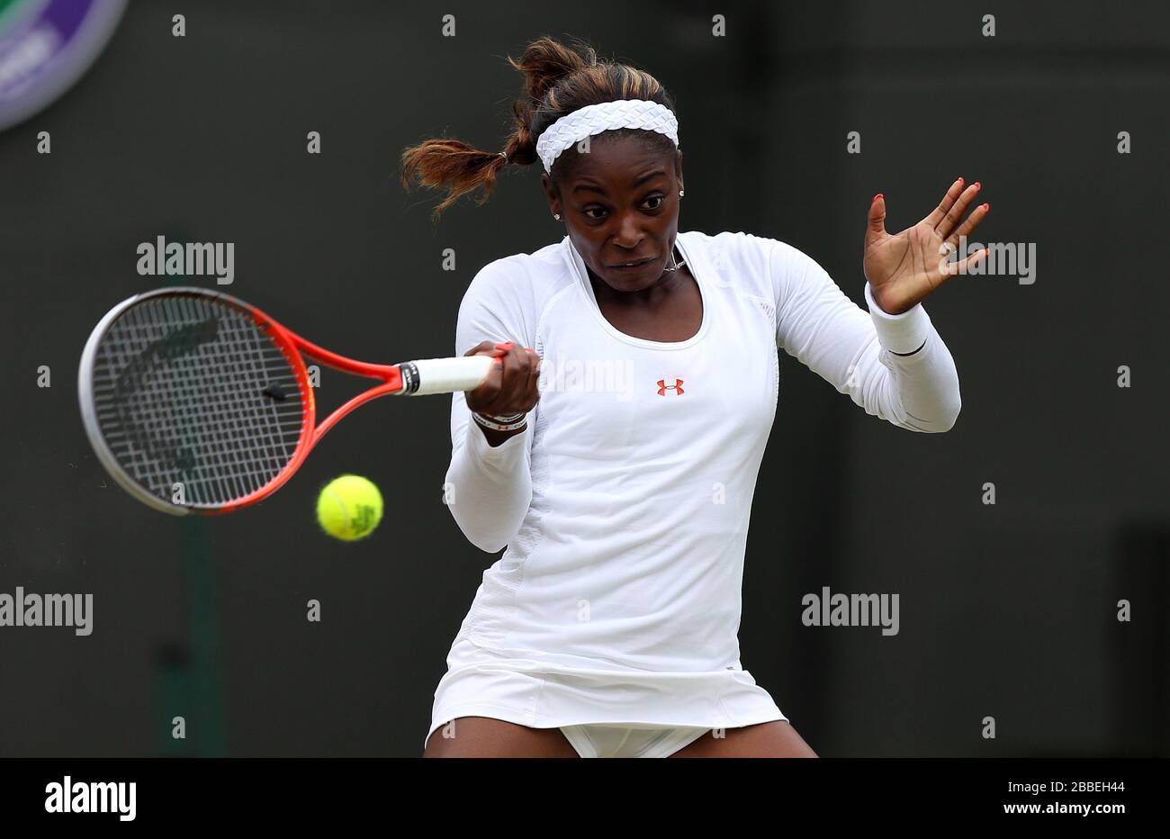 Stephens in action hi-res stock photography and images - Alamy