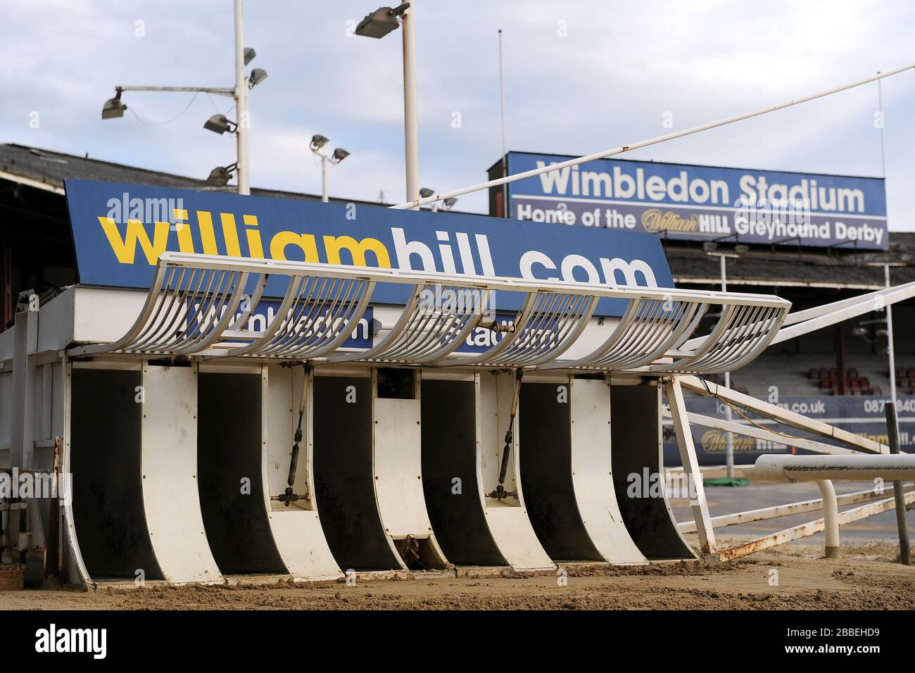 William Hill branded start gates at Wimbledon Stadium Stock Photo - Alamy