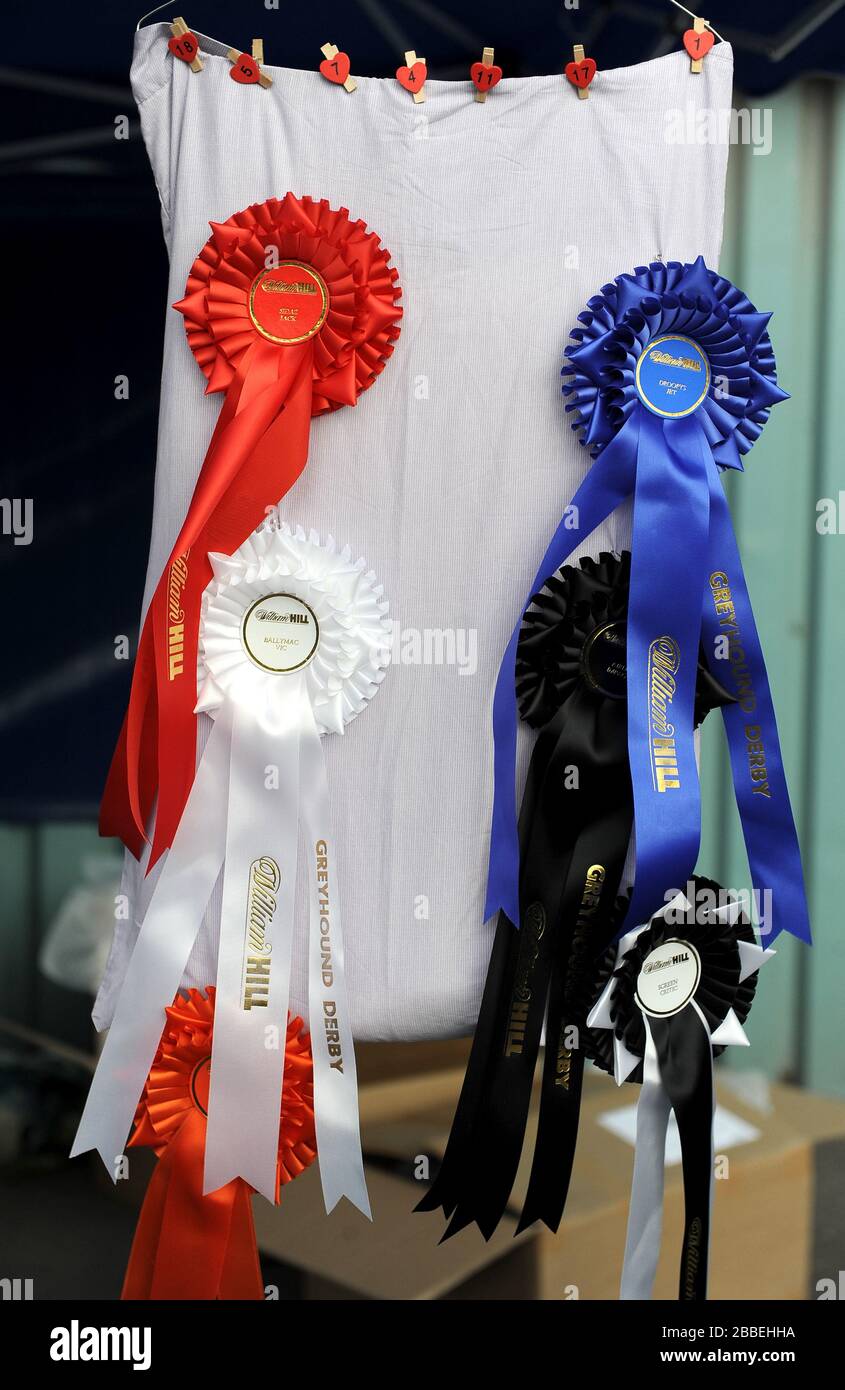 Rosettes on display before the racing Stock Photo - Alamy