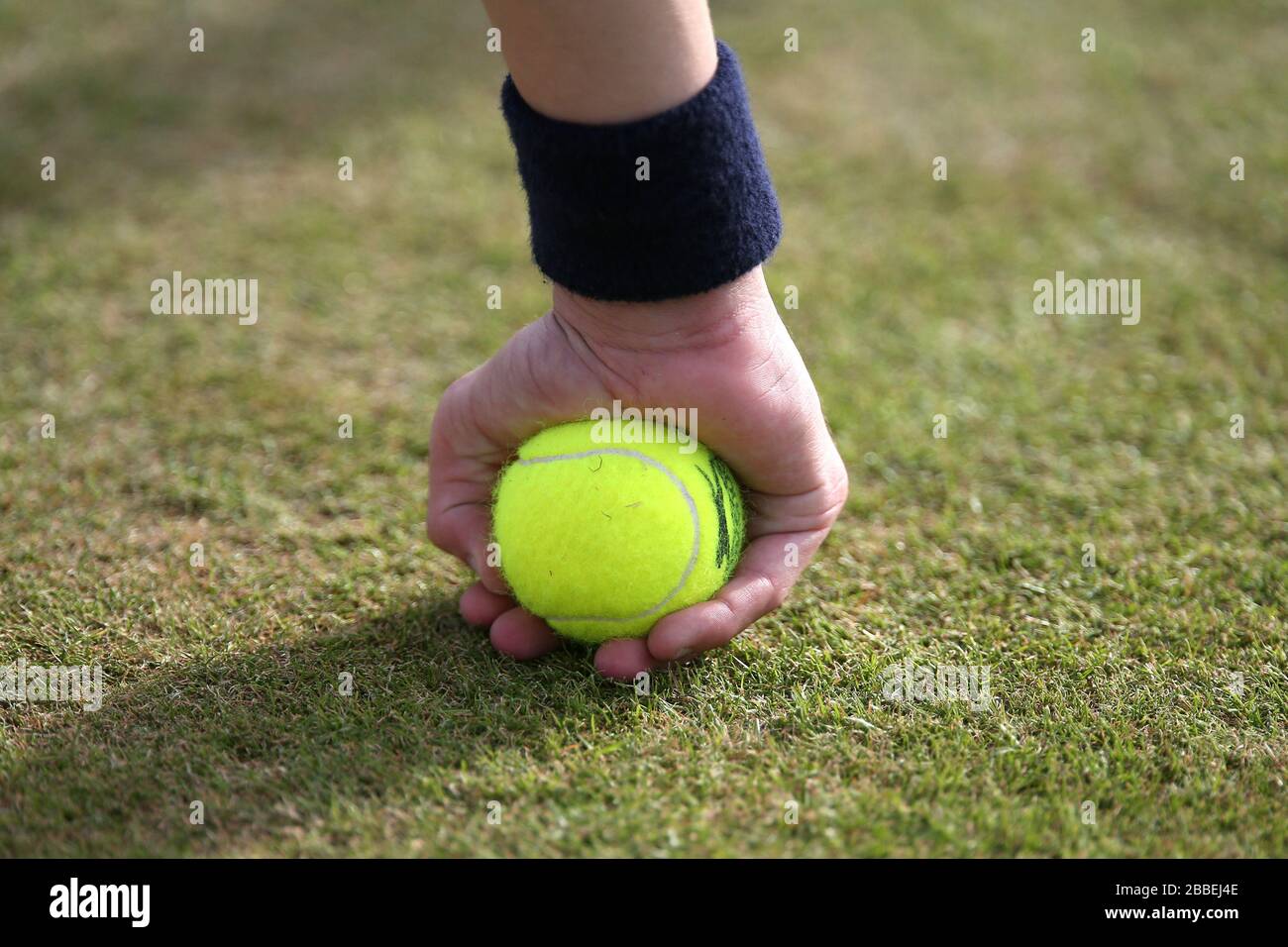 A ball boy holds a tennis ball in his hand Stock Photo - Alamy