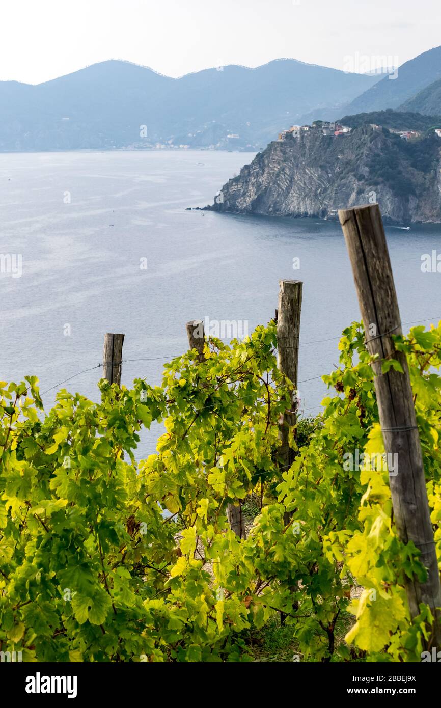Natural view of the beautiful and almost untouched coast of Liguria in ...