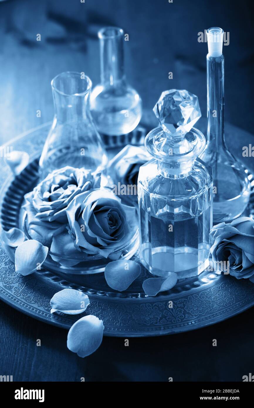 trend color of the year 2020 classic blue. aromatherapy set with rose ...