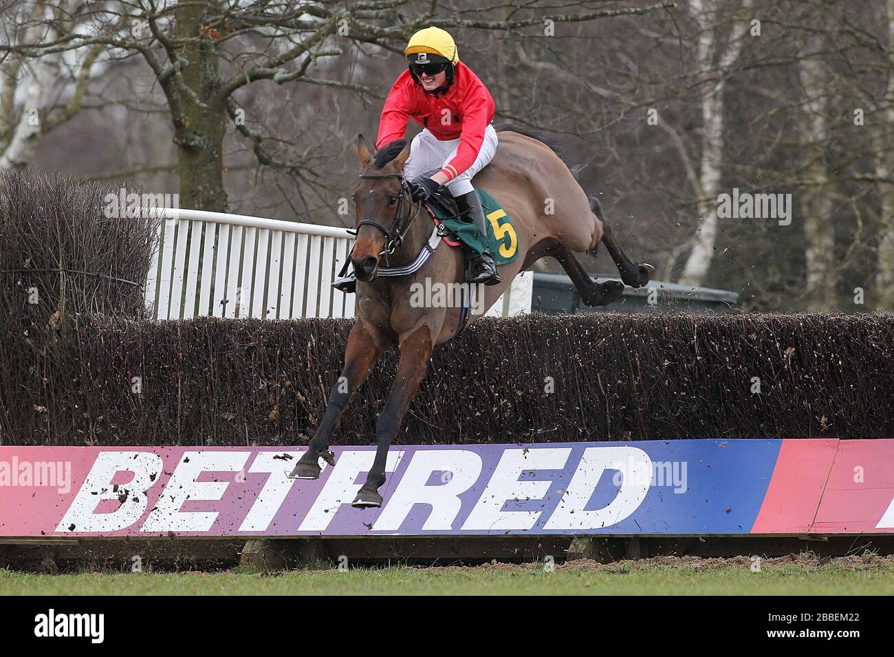 Race winner Ravethebrave ridden by Mr J P Hill in jumping action in the ...