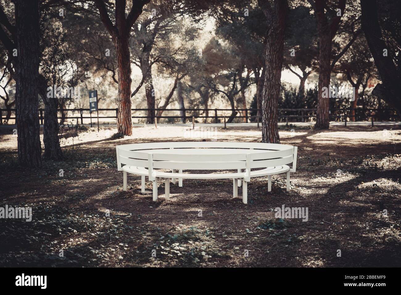 Wooden circular garden bench hi-res stock photography and images - Alamy