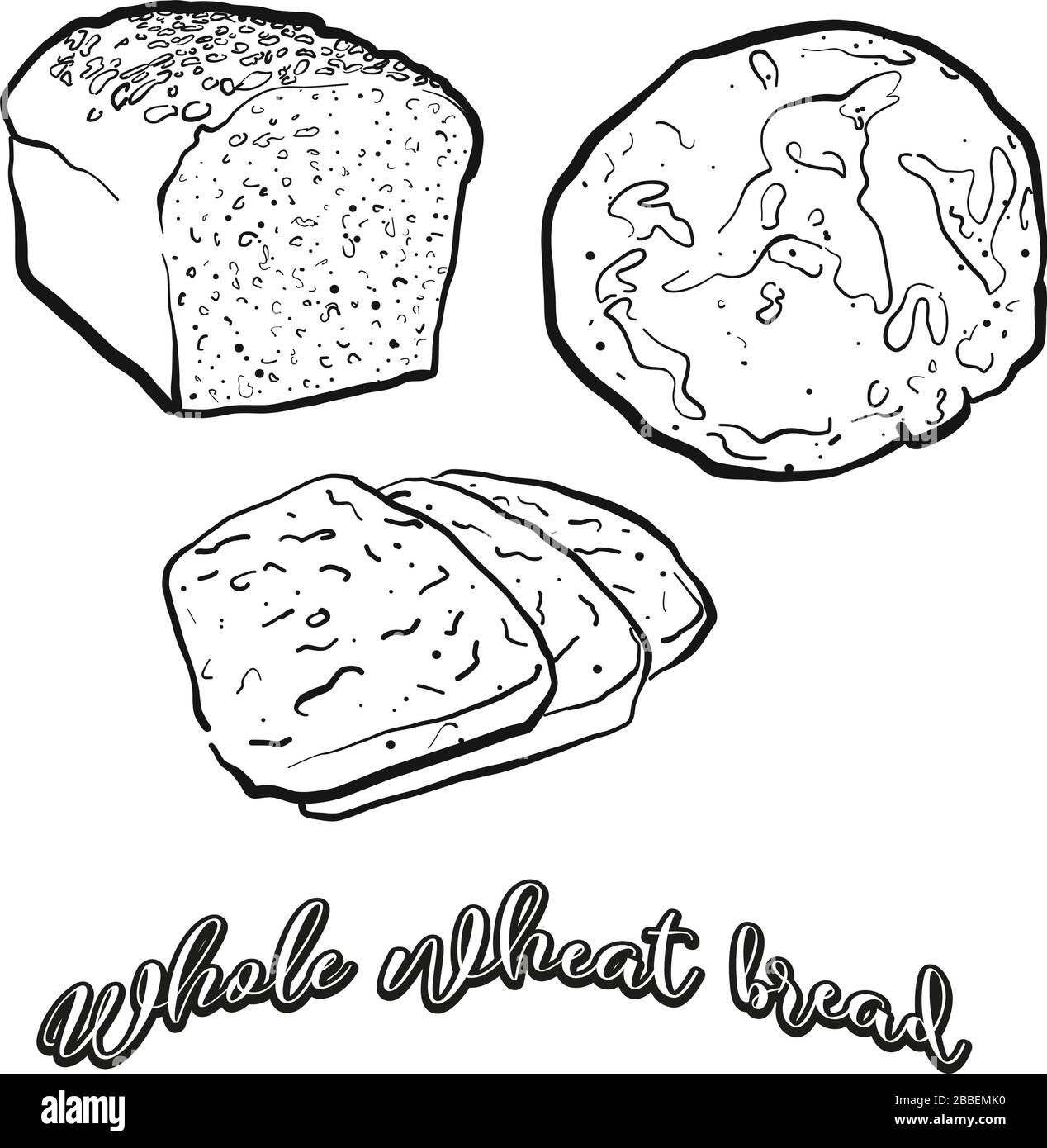 Whole wheat bread food sketch separated on white. Vector drawing of ...