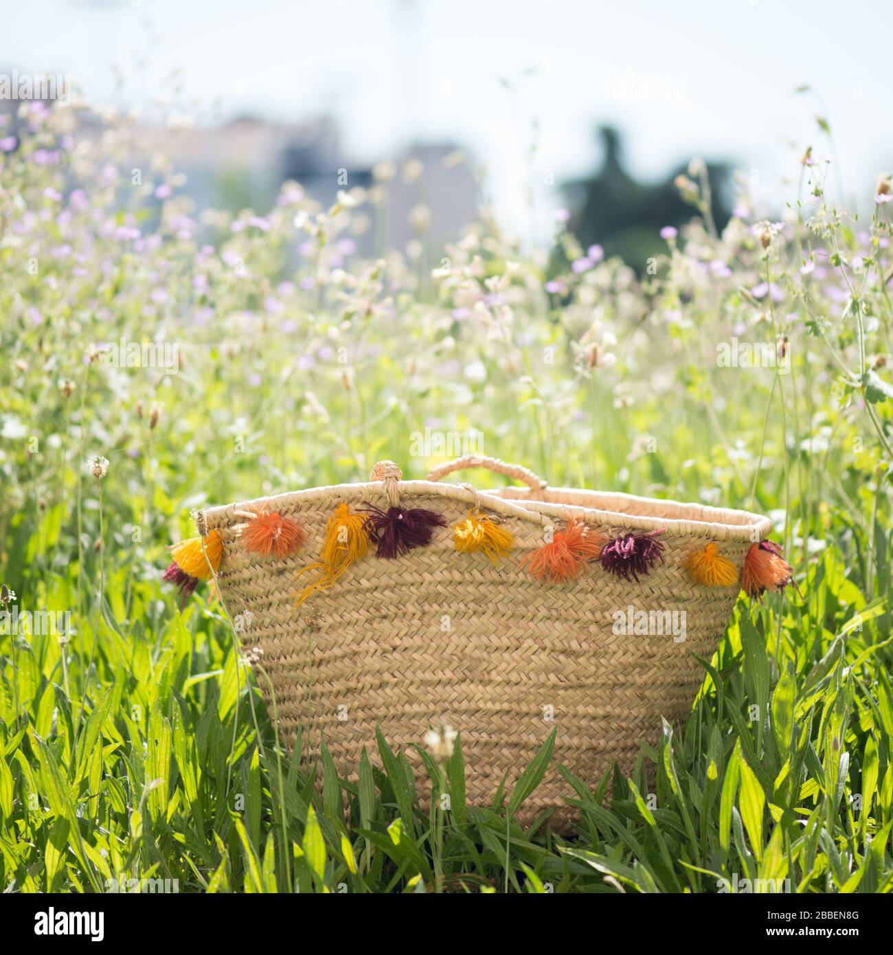 basket on a spring garden, under a sunny day Stock Photo - Alamy