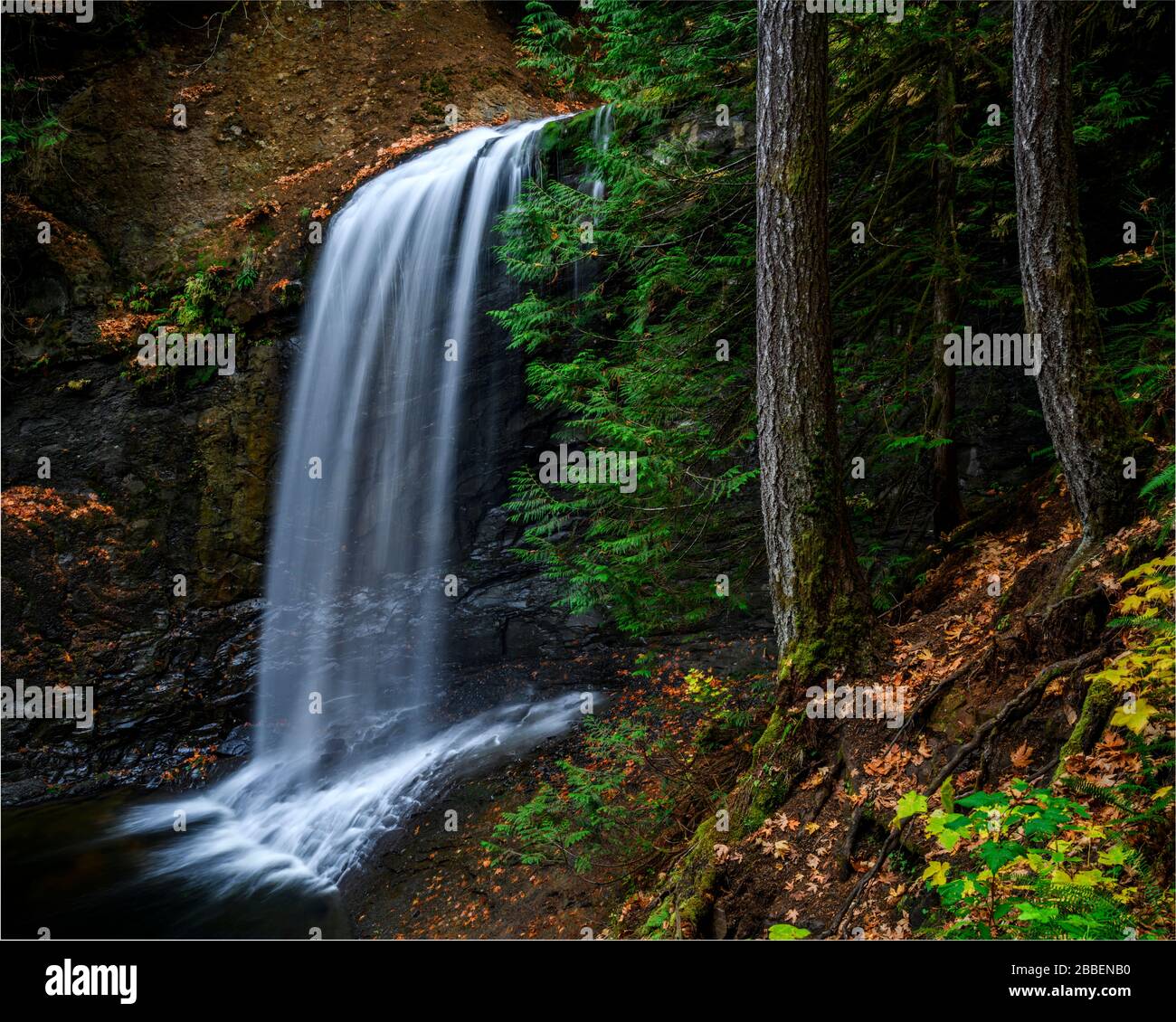 Ammonite waterfall hi-res stock photography and images - Alamy