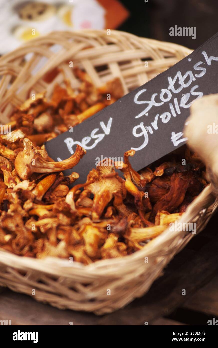 Scottish girolles mushroom hi-res stock photography and images - Alamy