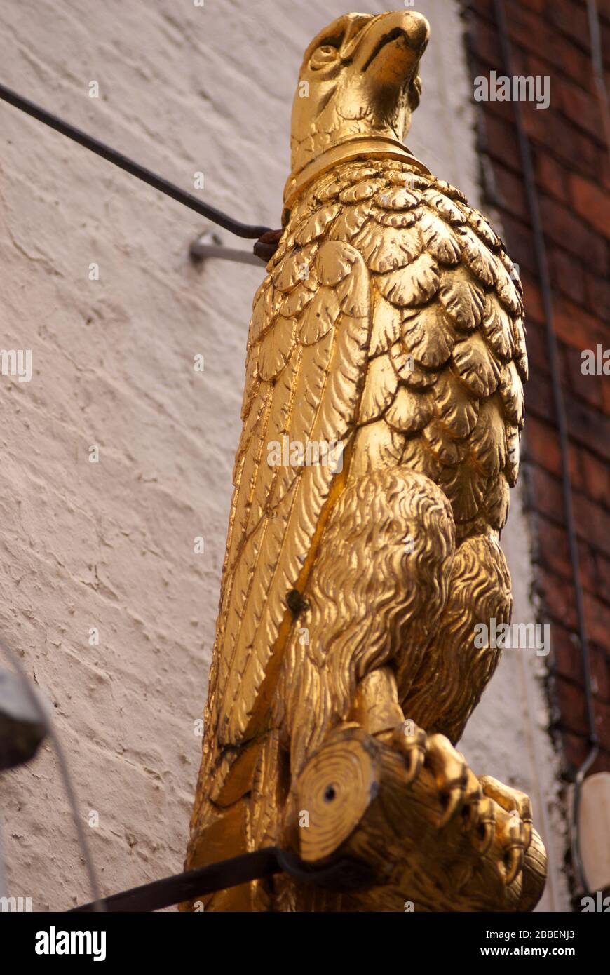 Golden falcon hi-res stock photography and images - Alamy