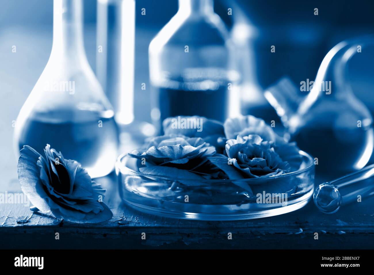 trend color of the year 2020 classic blue. aromatherapy and alchemy ...