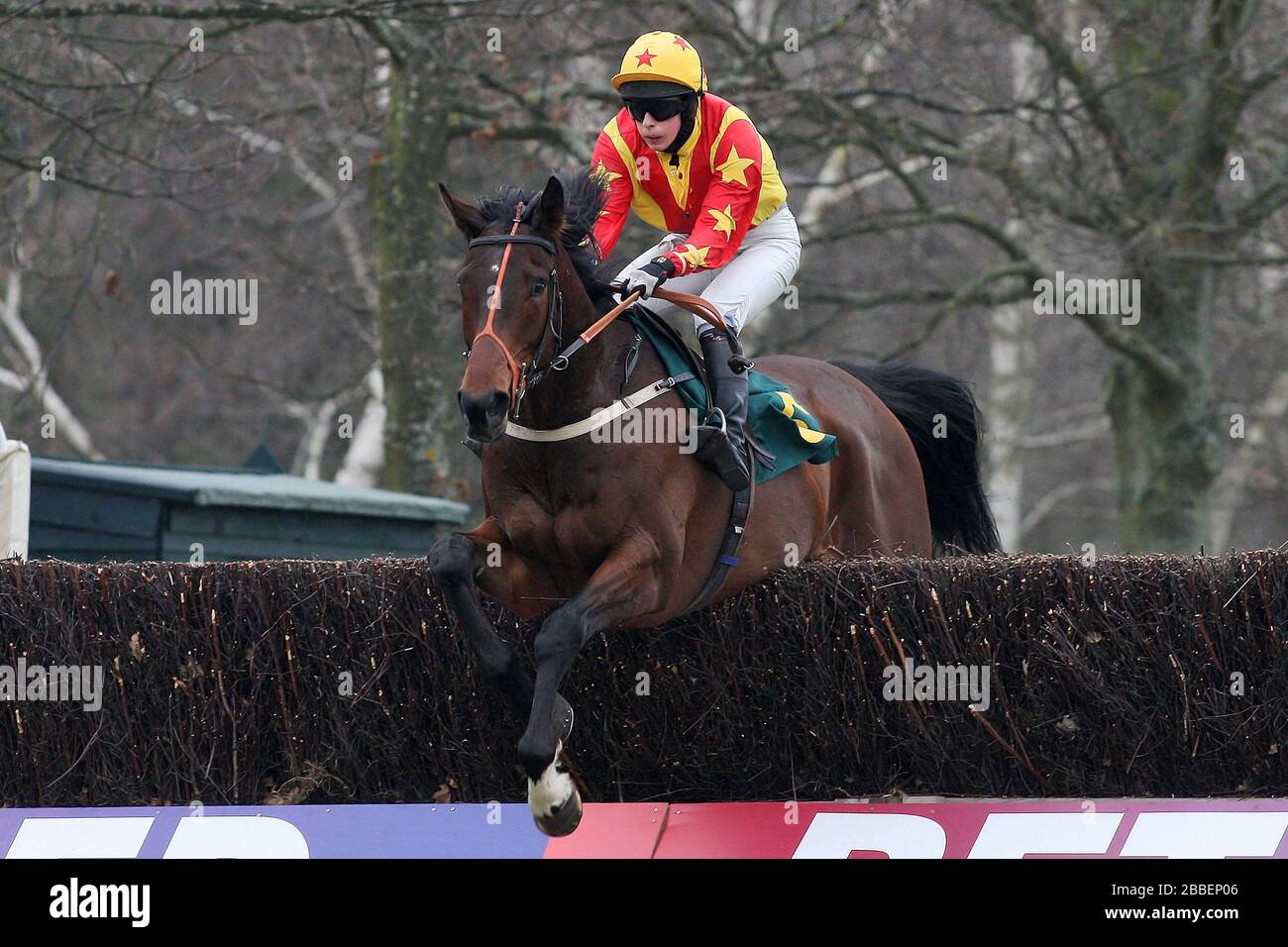 The Mighty Mod ridden by Miss Alice Mills in jumping action during the ...
