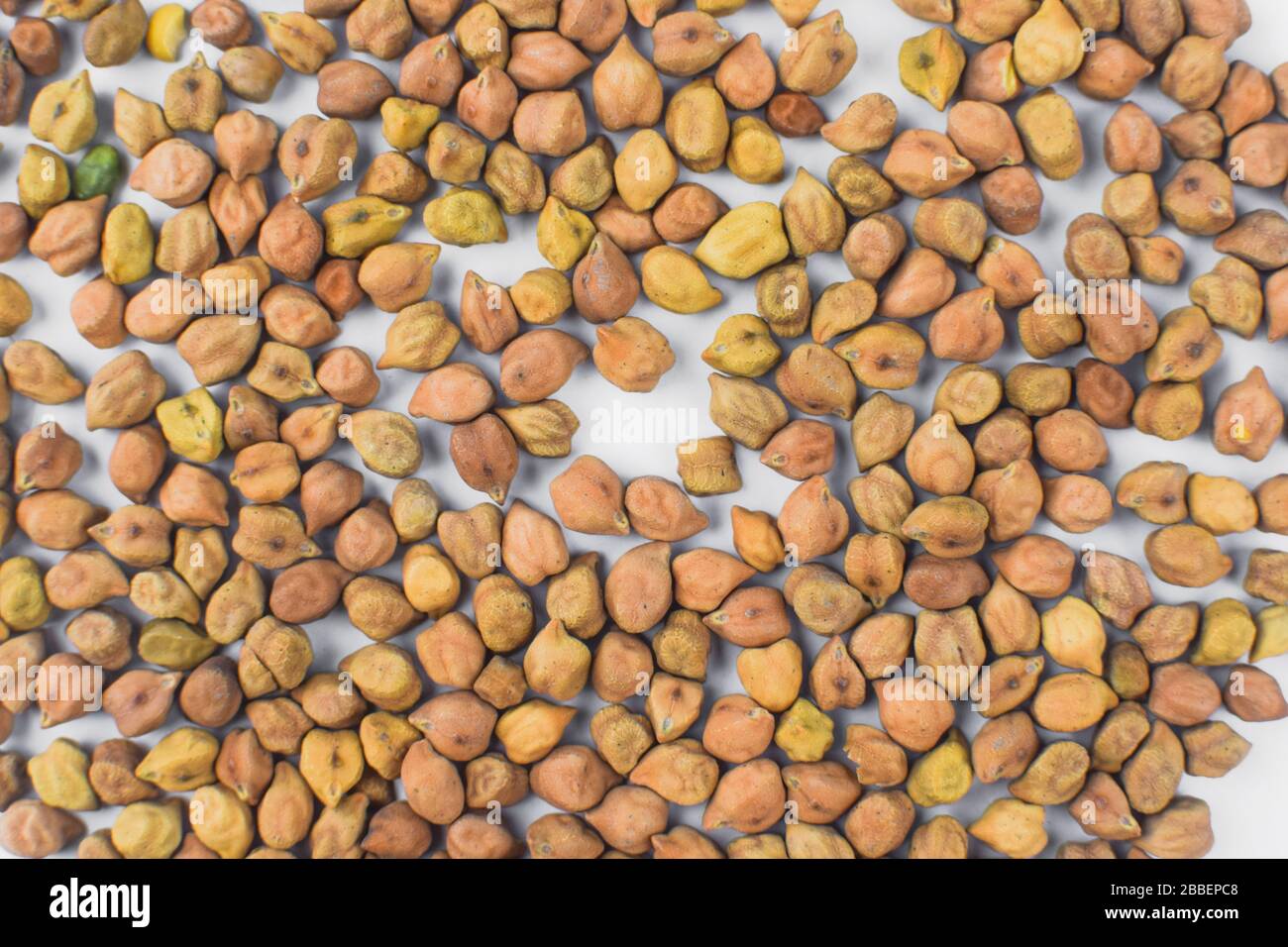 Lot of small pulses legume gathered together before an isolated white ...