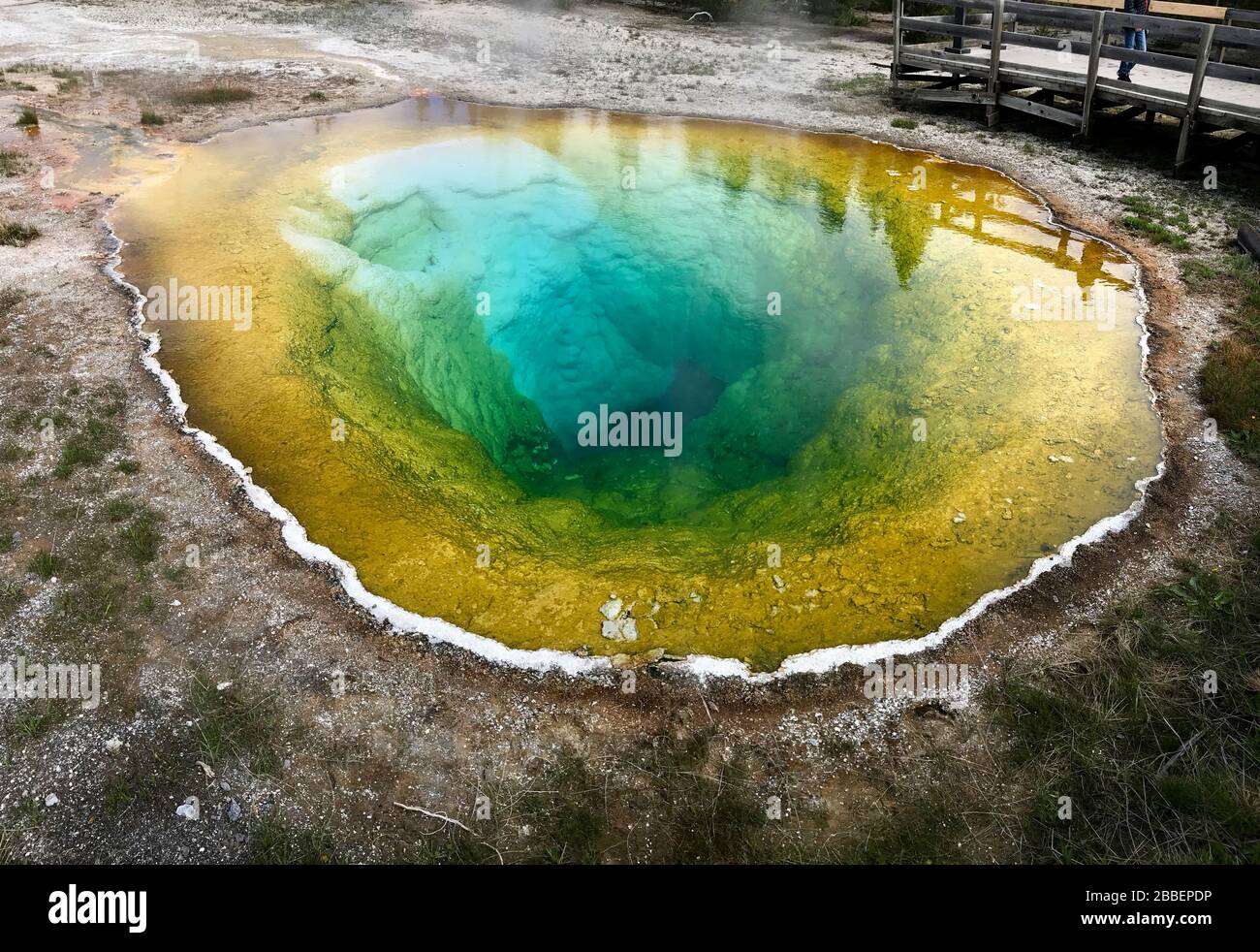 Morning Glory Pool, Yellowstone National Park ans Preserve, United ...
