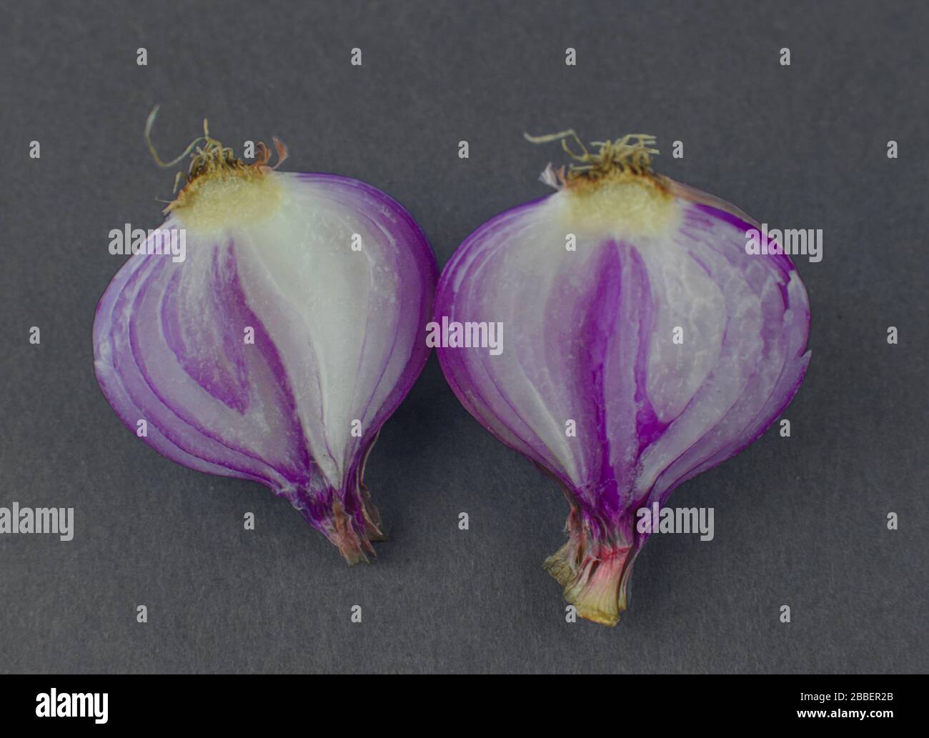 Portrait of two half peeled pink colored onion isolated on an isolated ...