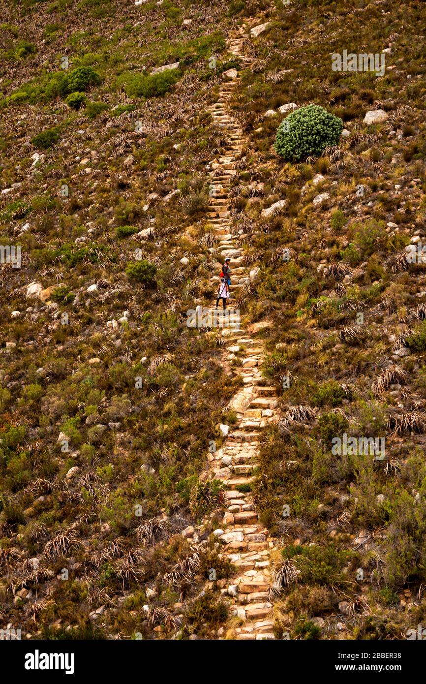 SAf1055 South Africa, Cape Town, Table Mountain, visitors climbing up ...